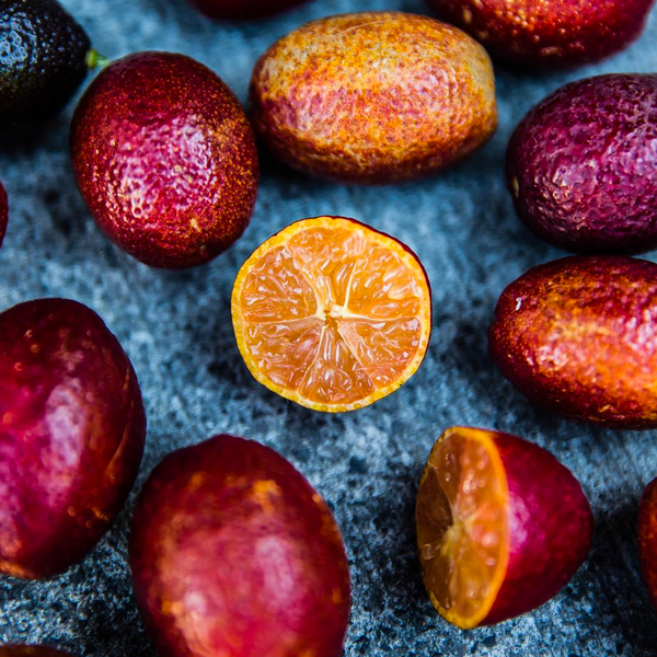 Australian Blood Finger Lime – Red Centre Dwarf | Nursery Warehouse ...
